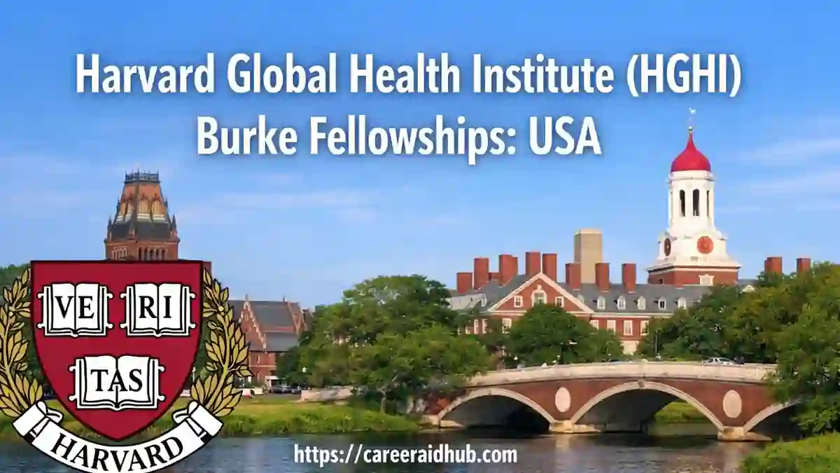 Harvard Global Health Institute (HGHI) Burke Fellowships: USA - Career ...